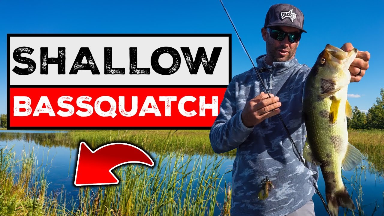BIGGER Bass Eat JIGS! Simple Shallow Cover Fall Flipping & Pitching ...