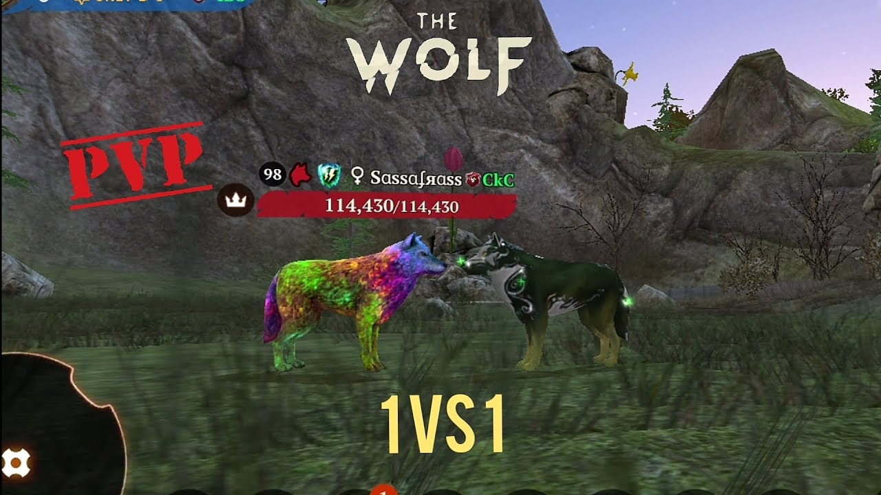 The wolf - [PVP] 1 vs 1 with Sass 😊 - YouTube