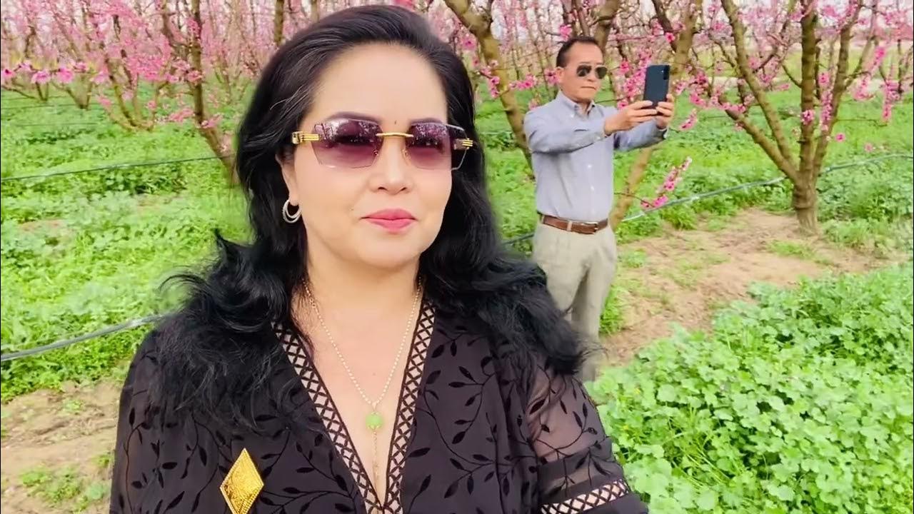 Wb ib niam txiv mus thaij duab Ua sib.. 3/1/25 - YouTube