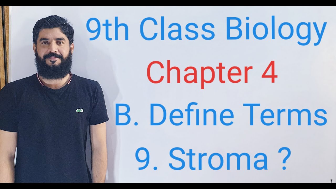 What is Stroma | Define Stroma | meaning of Stroma | define term Stroma ...
