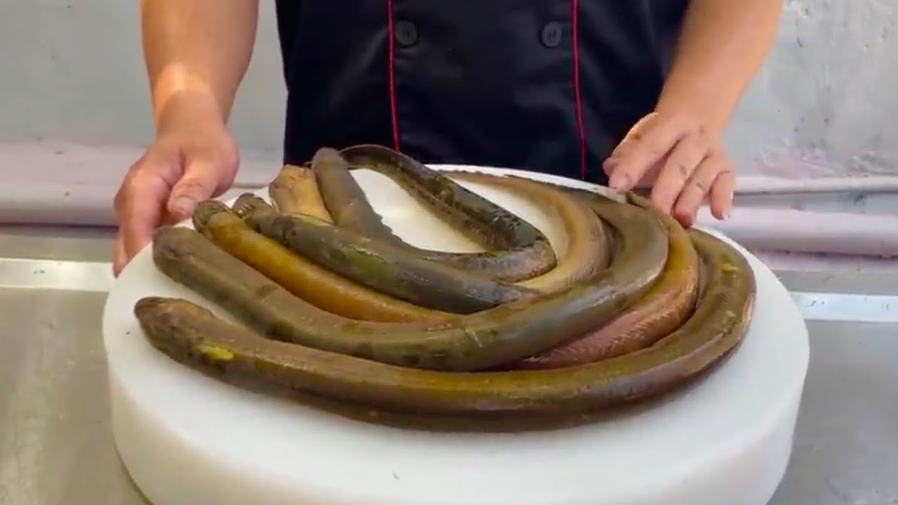 freshwater eel. the best Vietnamese food in the world // best cooking ...