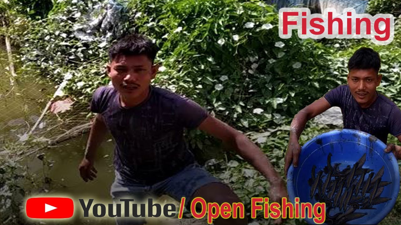 Amazing Fishing, Horn Fishing । Open Fishing - YouTube