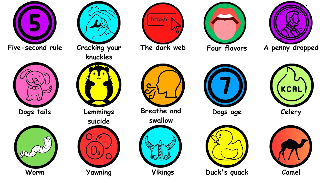 EVERY Common Misconception DEBUNKED in 8 Minutes - YouTube