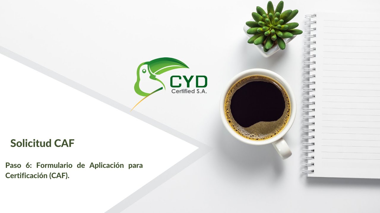 Paso 6: Solicitud CAF y Documentación Previa - YouTube