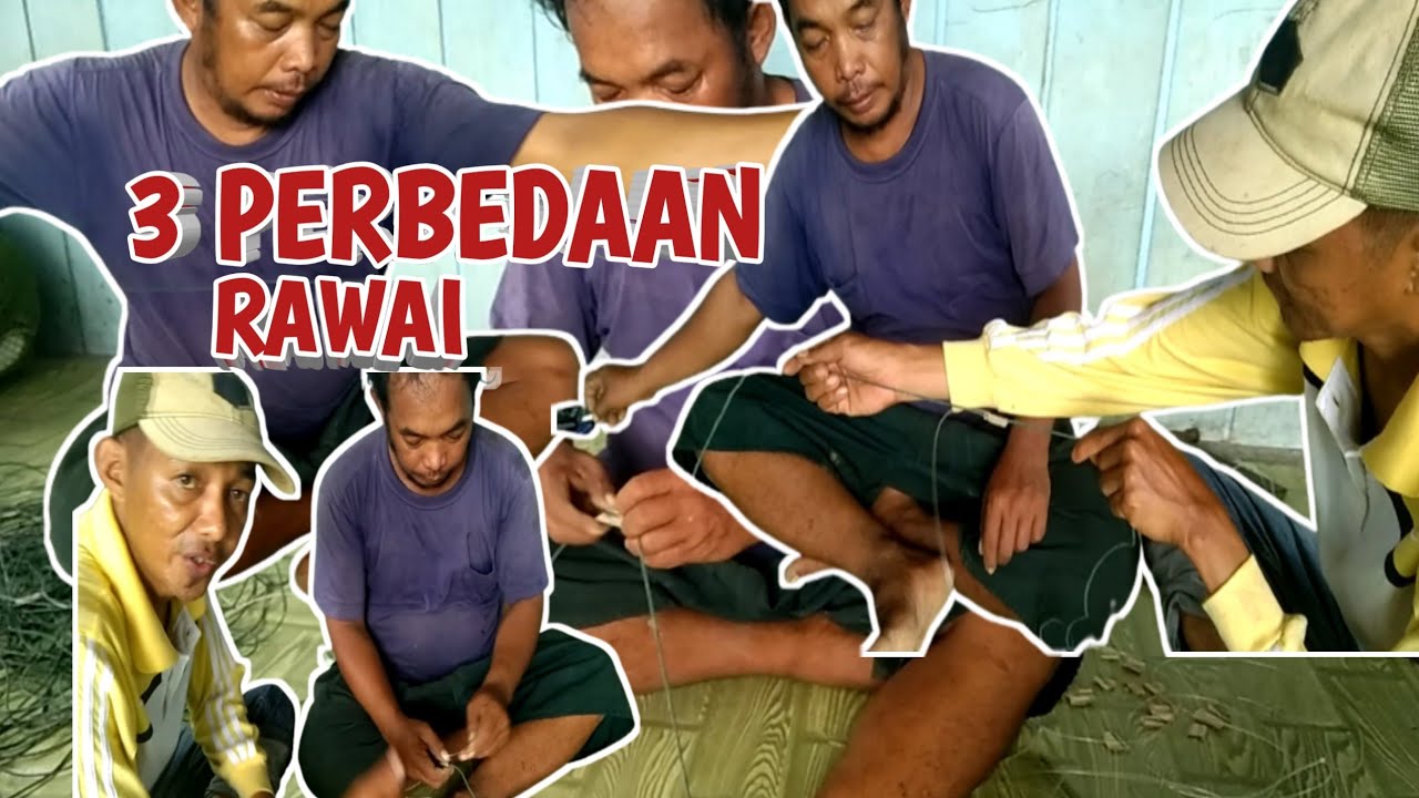 TUTORIAL CARA MEMBUT PANCING RAWAI LAUT, RAWAI MUARA DAN RAWAI SUNGAI ...