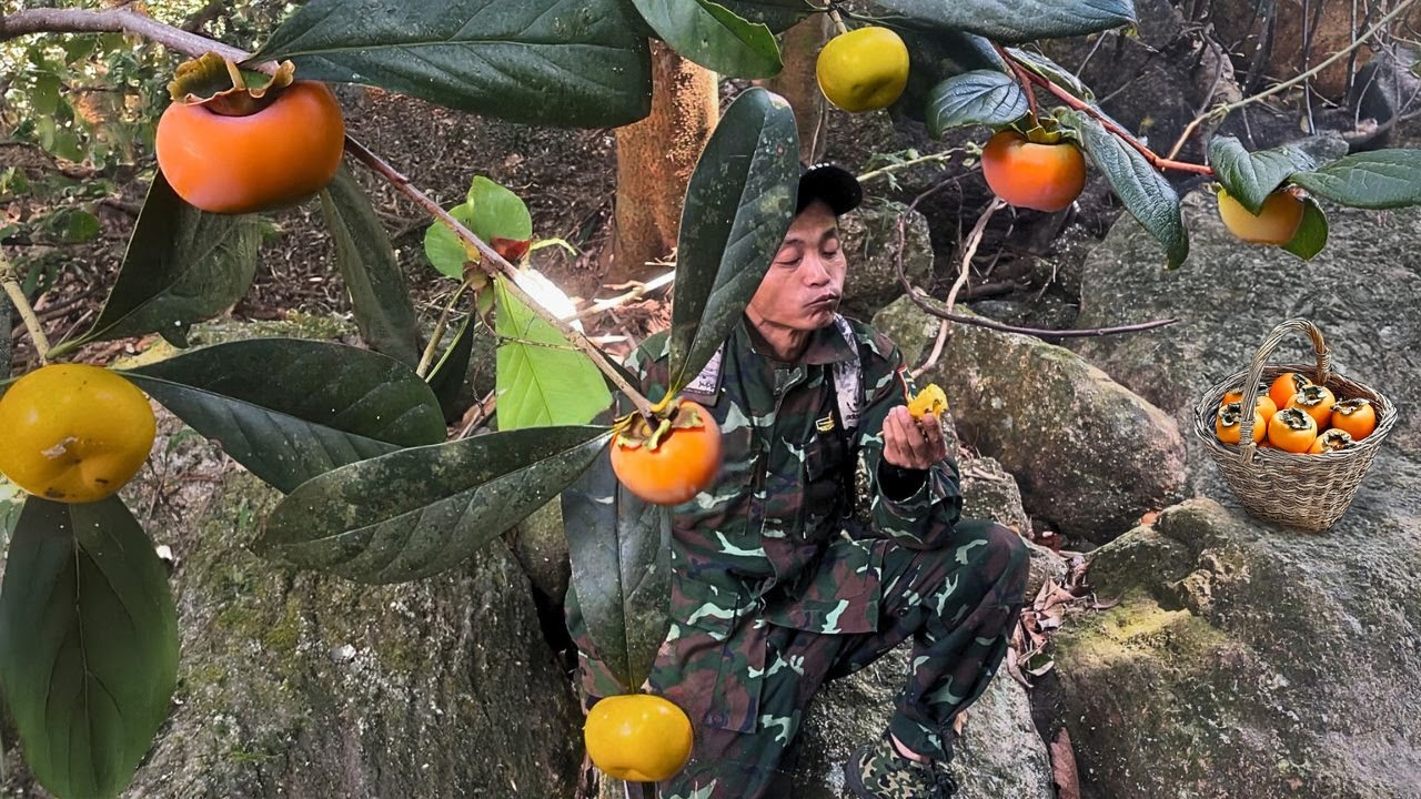 The Forest Fruit That Saved Me From Starvation - YouTube