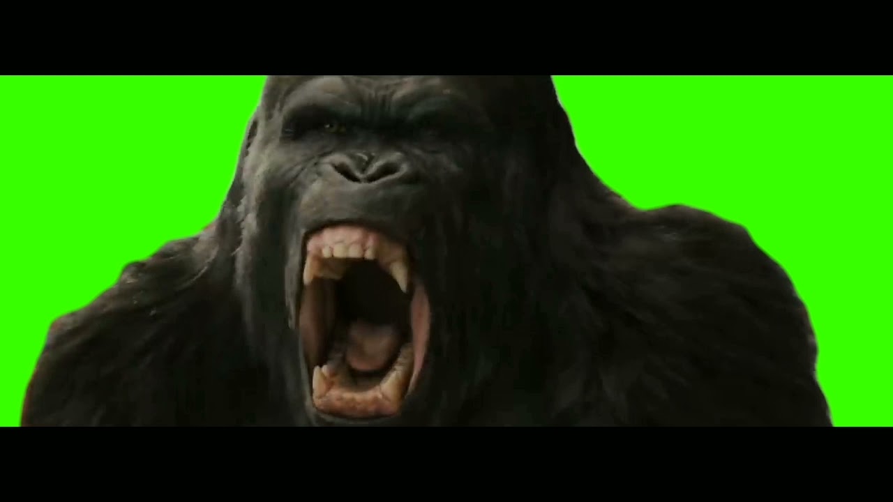 monkey green screen hd - YouTube