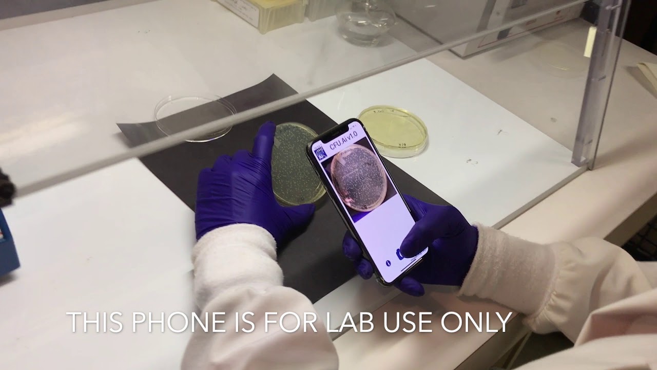 CFU.Ai - CFU Counting App - more Lab Testing - YouTube