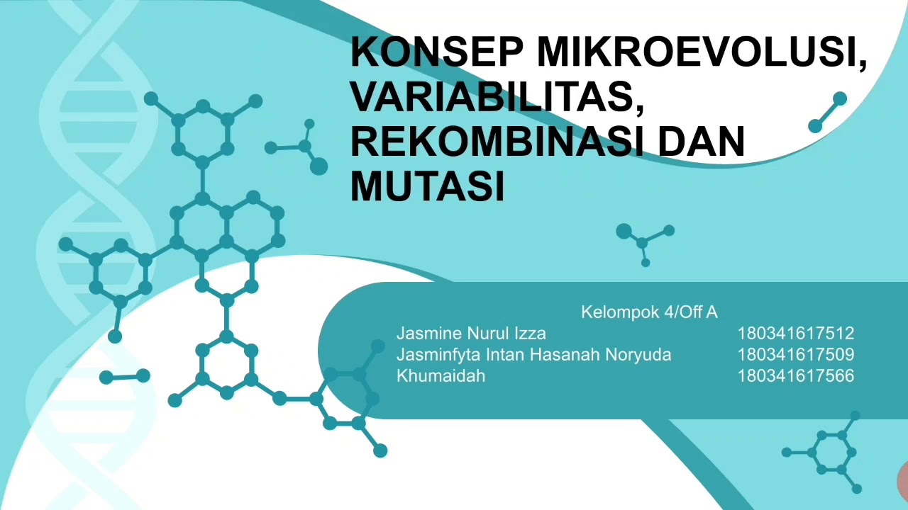 Konsep Mikroevolusi, Variabilitas, Rekombinasi dan Mutasi - Kelompok 4 Evolusi Pbio Offering A ...