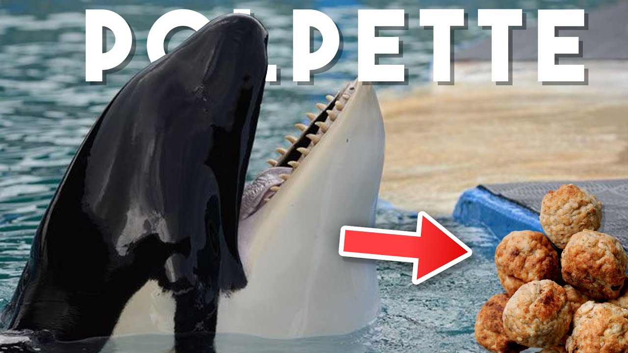 La VERA storia di Keiko, l'orca più famosa del mondo - YouTube