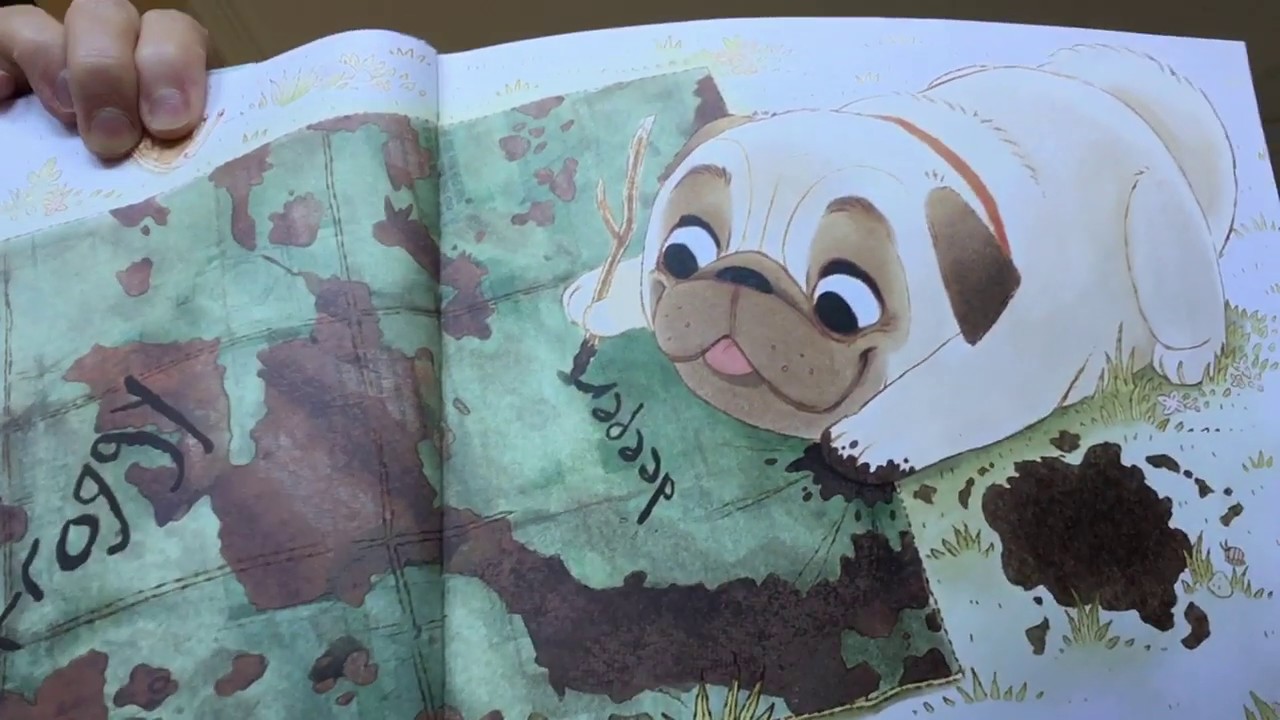 Puddle Pug - YouTube