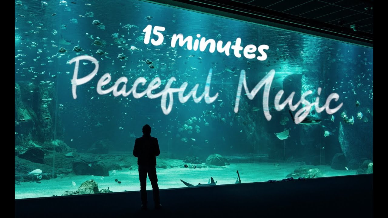 15 Mins Of Peaceful Music & Beautiful Sea Life (Under The Sea) - YouTube