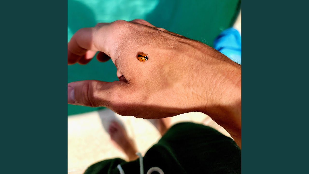 Inside A Dime - YouTube