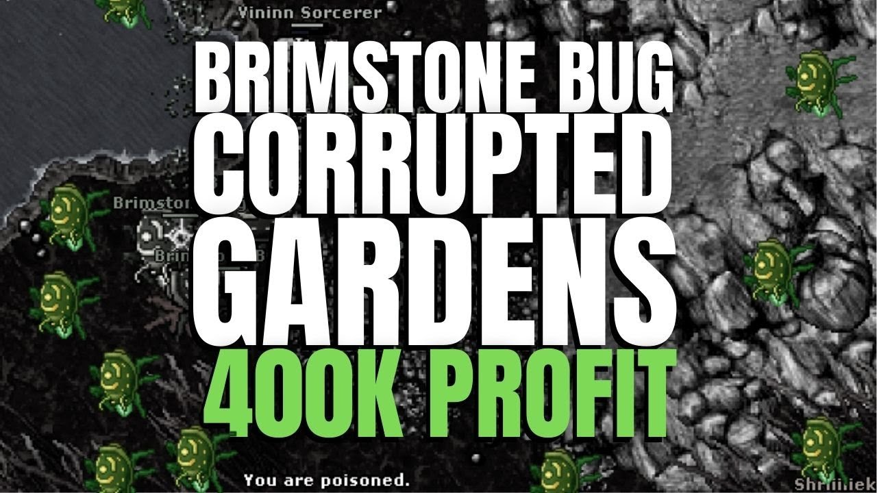 Tibia: Hunt Profit Mage MS ED 250+ 400k/hora Corrupted Gardens - Brimstone Bug #tibia - YouTube