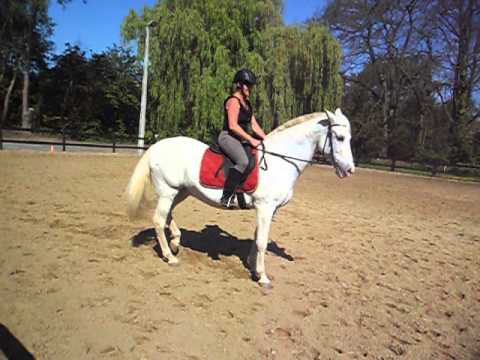 pas espagnol Boni - YouTube