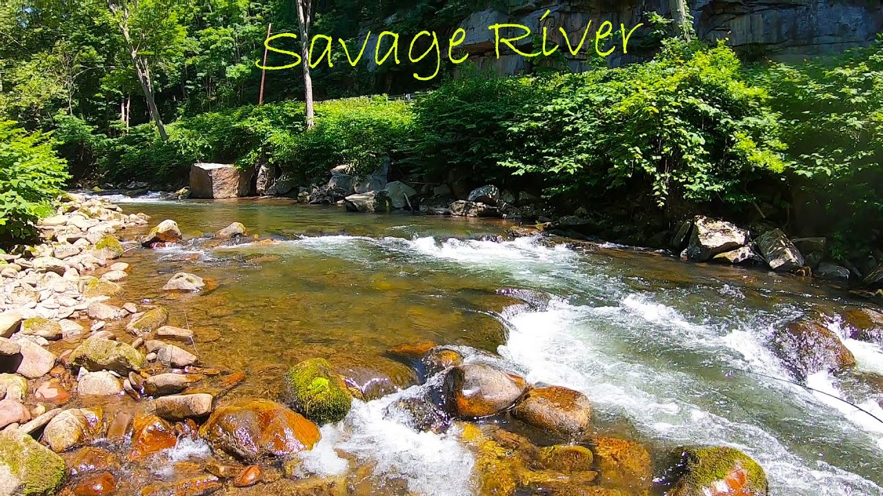 Savage River Angler