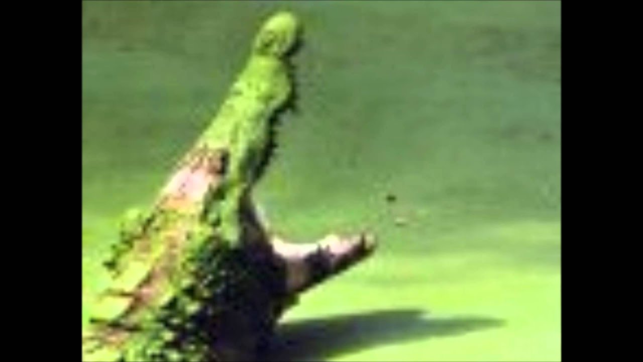 The Clash--Bank Robber + Robber Dub - YouTube