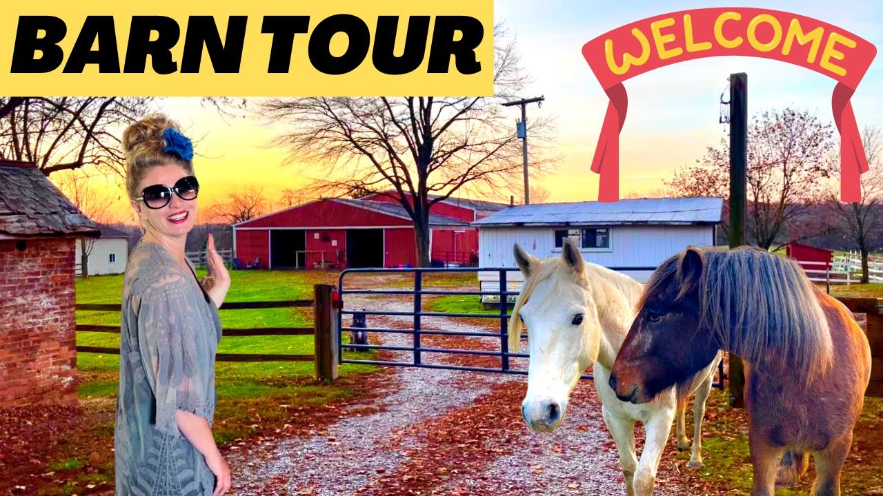 COME TOUR MY HORSE BARN|FREE SPIRIT FARM - YouTube