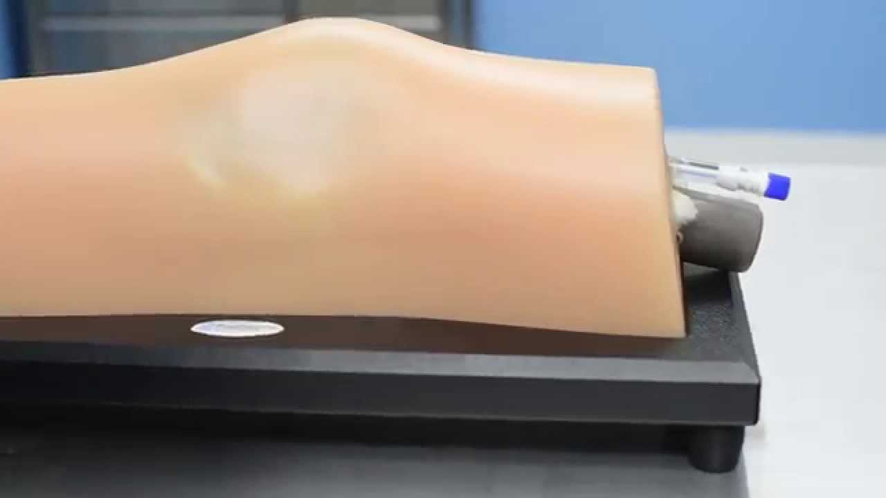 Blue Phantom Musculoskeletal MSK Knee Model - YouTube