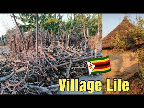 African Village Life tour in Rural Zimbabwe 🇿🇼🇿🇼 - YouTube