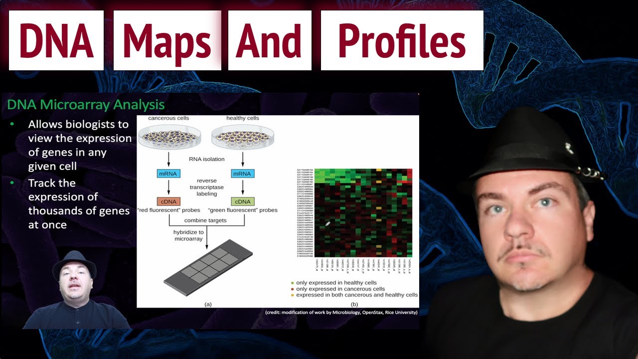 DNA Maps and Profiles - YouTube