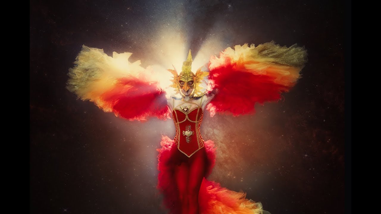 PHOENIX - underwater photography, behind the scenes - YouTube