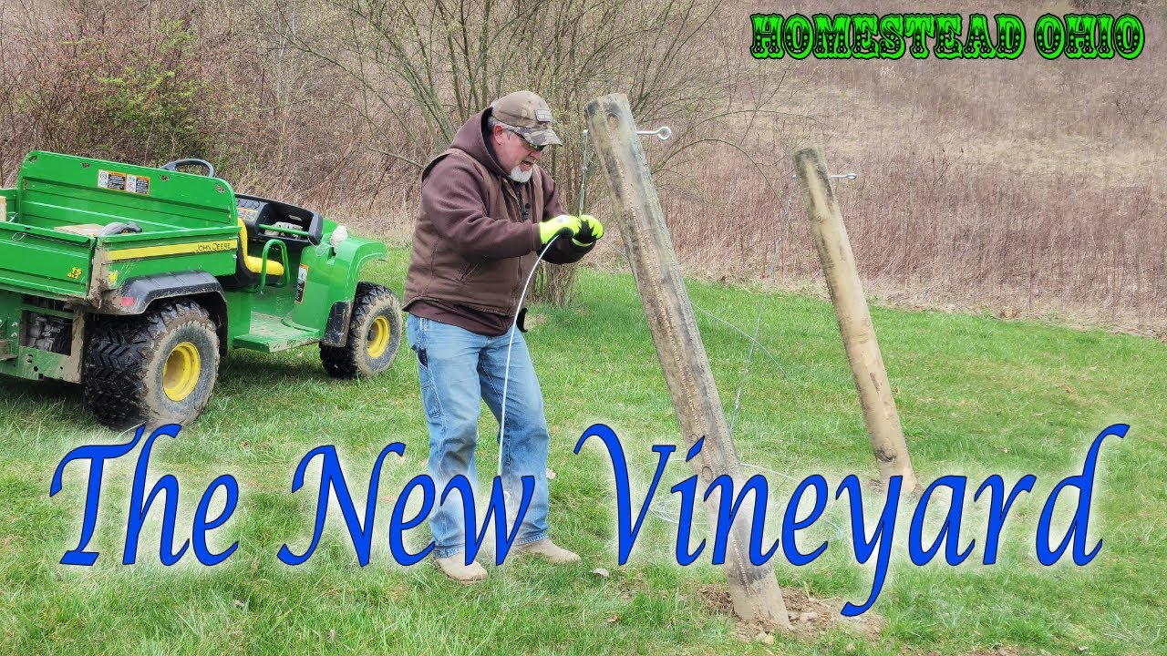 The New Vineyard | Building more Trellises - YouTube