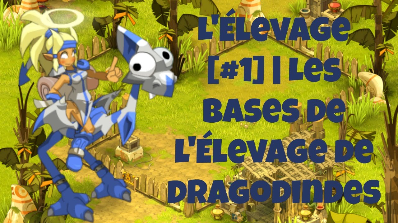 ÉLEVAGE [#1] | Les Bases de l'Élevage de Dragodindes ! - YouTube