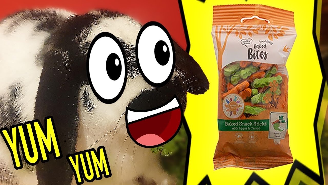 Echo The Rabbit Tries Pets At Home Baked Bites! Review - YouTube