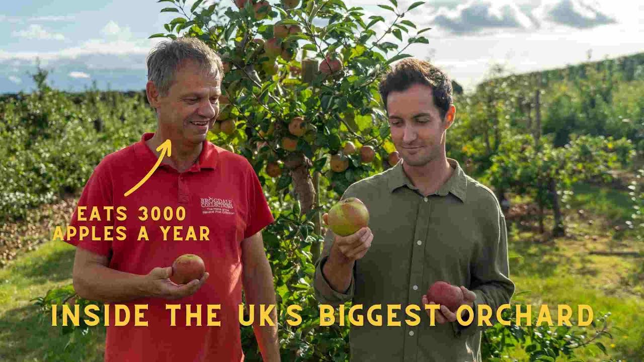 3 Secrets to Choosing the Perfect Apple Tree (from an Apple Genius ...