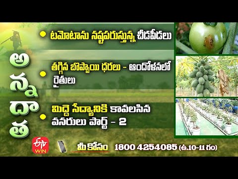 19th September 2021 | Annadata | అన్నదాత | Full Episode - YouTube