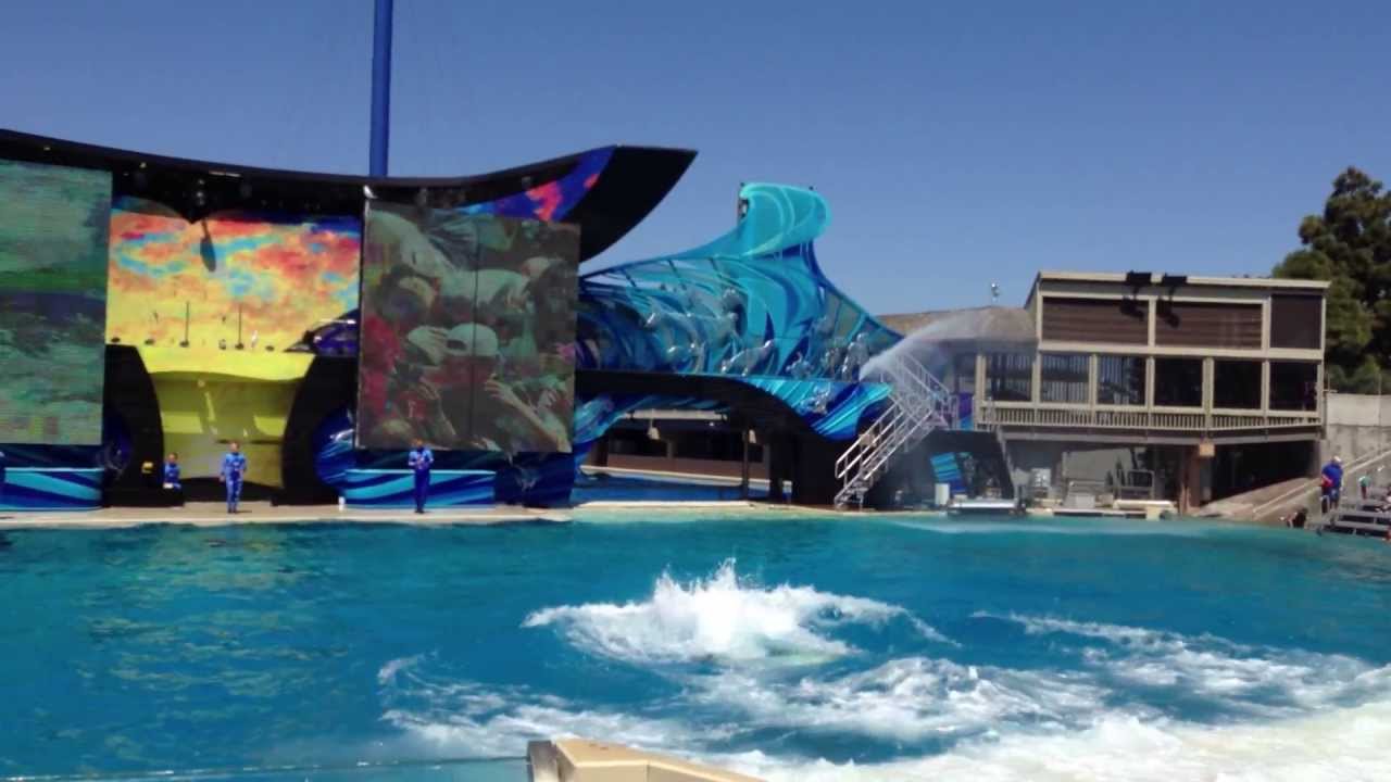 Shamu Show with baby Shamu - YouTube