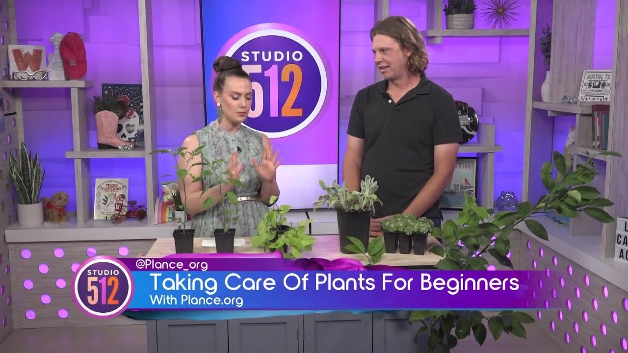 How To Plant Your First Plant With Lance Roberson - YouTube