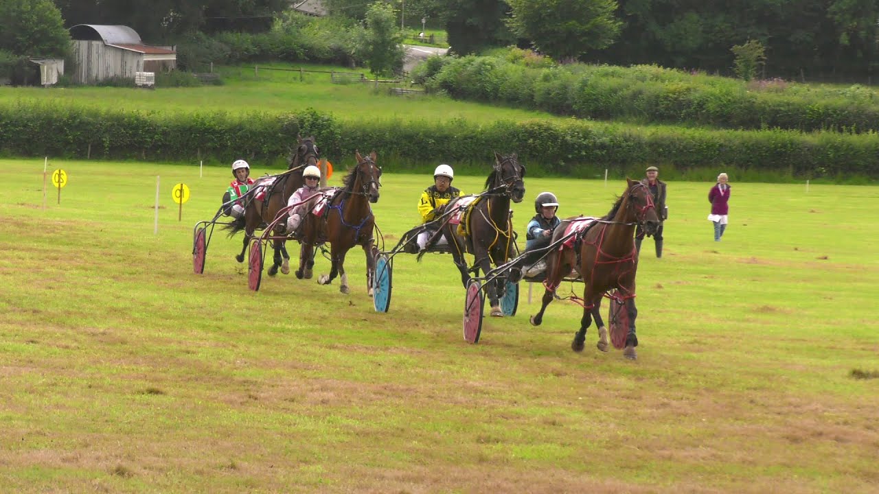 Talsarn Harness Races 2021 Novice Race - YouTube