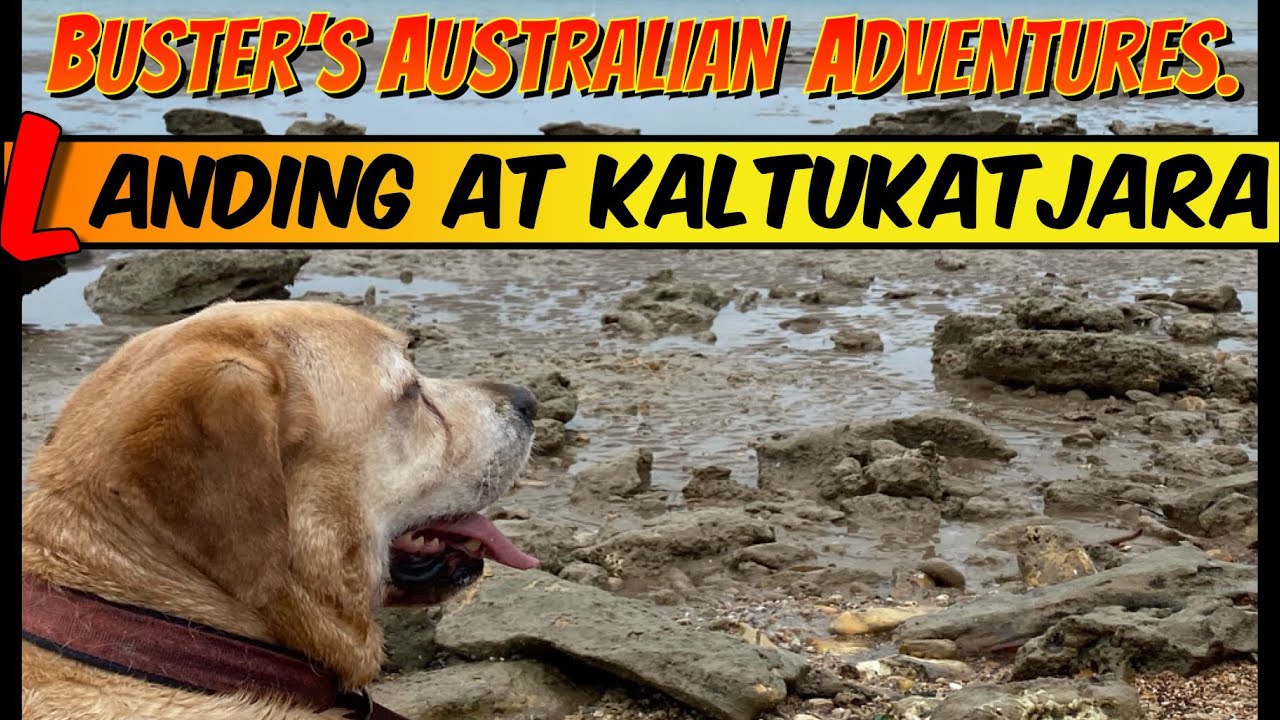 Buster`s Australian Adventures - landing Kaltukatjara - YouTube