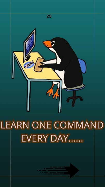 Learn One Command Every Day 25 Linuxtutorial Linuxcommandlinetutorial Linuxcommands Youtube