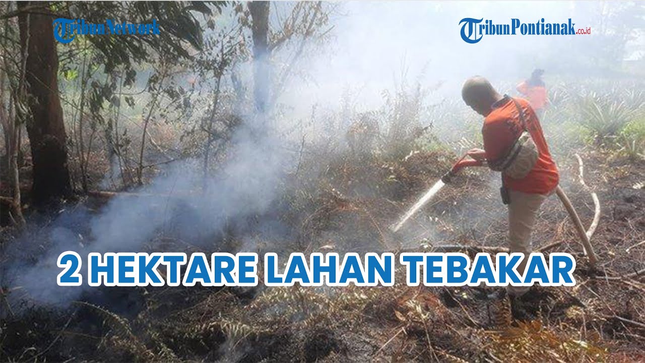 🔴 Karhutla di Parit Baru Kubu Raya, 2 Hektare Lahan Tebakar - YouTube