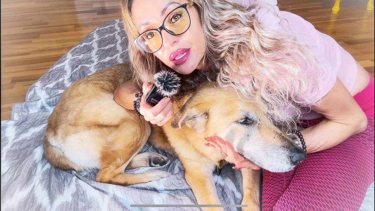 10 min ASMR Dog Brushing & Cuddles for making you sleep and Removing ...