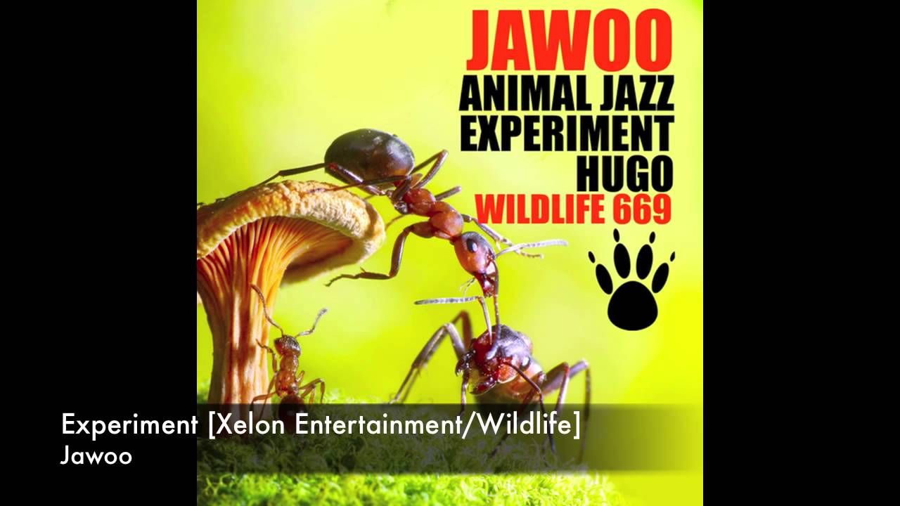 Jawoo - Experiment [Xelon Entertainment/Wildlife] - YouTube