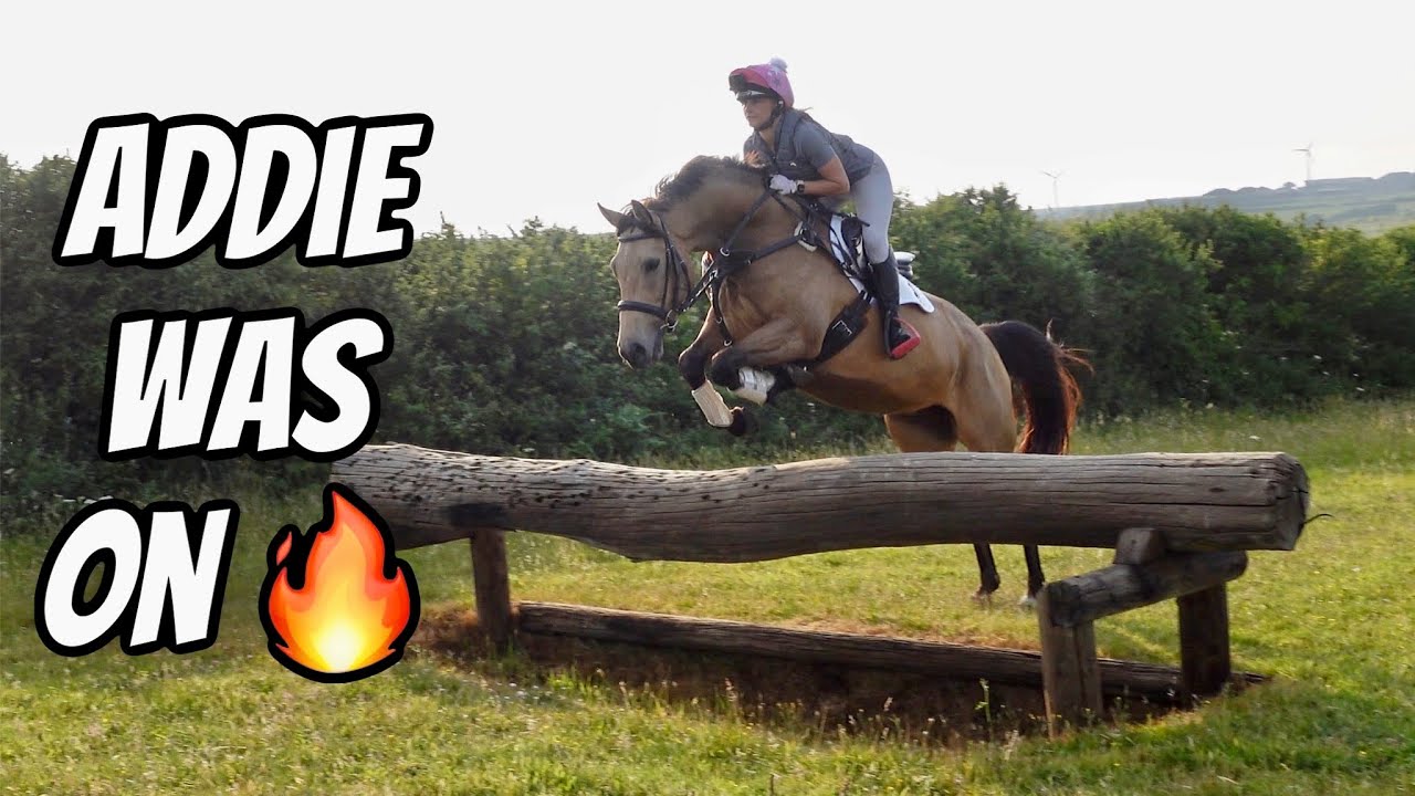 THE BEST ADDIE'S EVER JUMPED | Cross Country Training in the Sun - YouTube