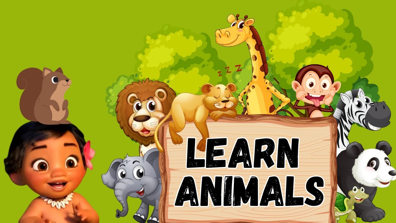 Learn Animals A to Z | Fun Vocabulary Building for Kids 😮 - YouTube
