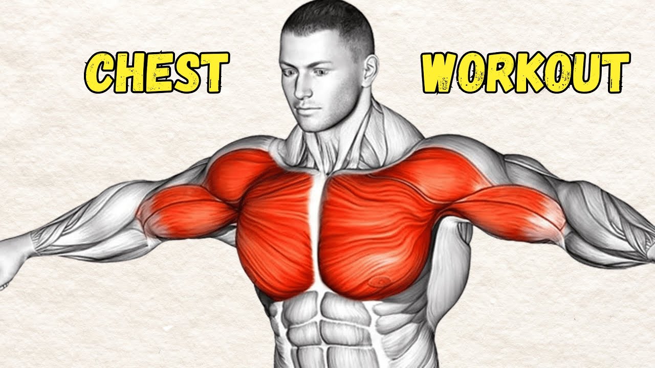 6 Exercises for a Chest Pump Like Never Before! (Complete Workout ...