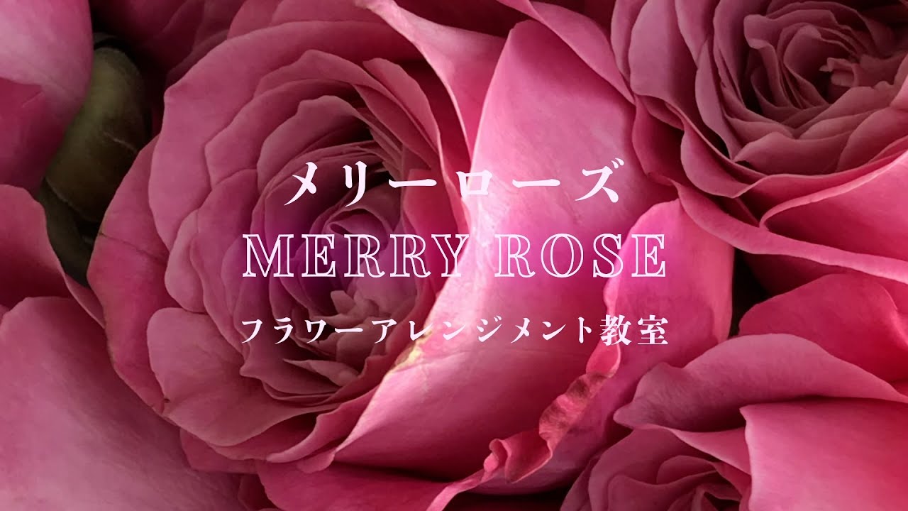 フラワーアレンジメント教室MERRY ROSE - YouTube