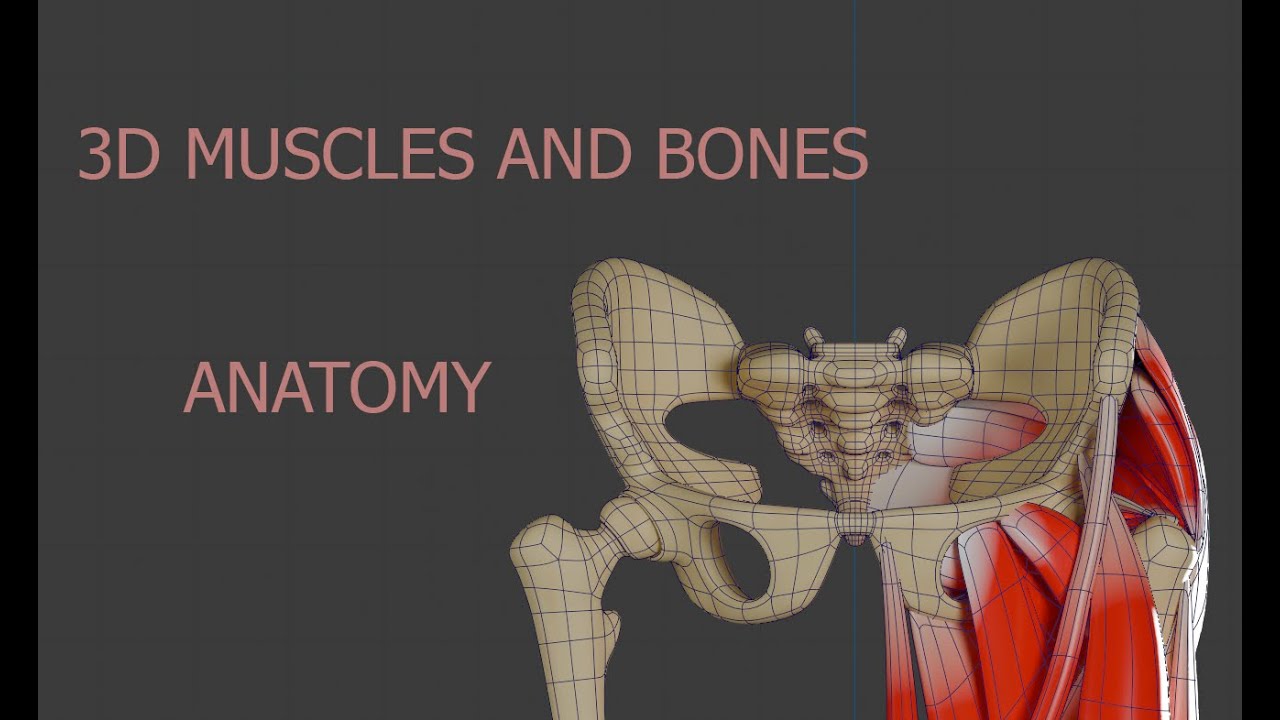 3D Anatomy Demo - YouTube