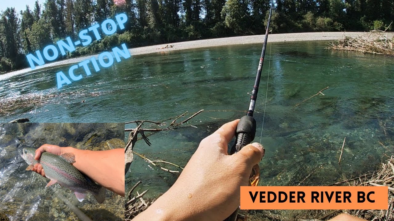 NON-STOP ACTION! VEDDER/CHILLIWACK RIVER TROUT FISHING - YouTube