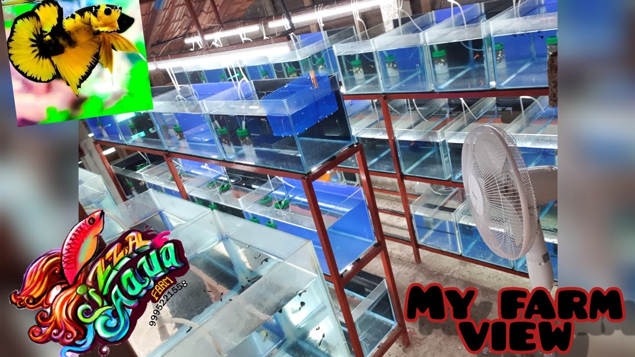 MY FARM, SMALL SETUP!.. - YouTube