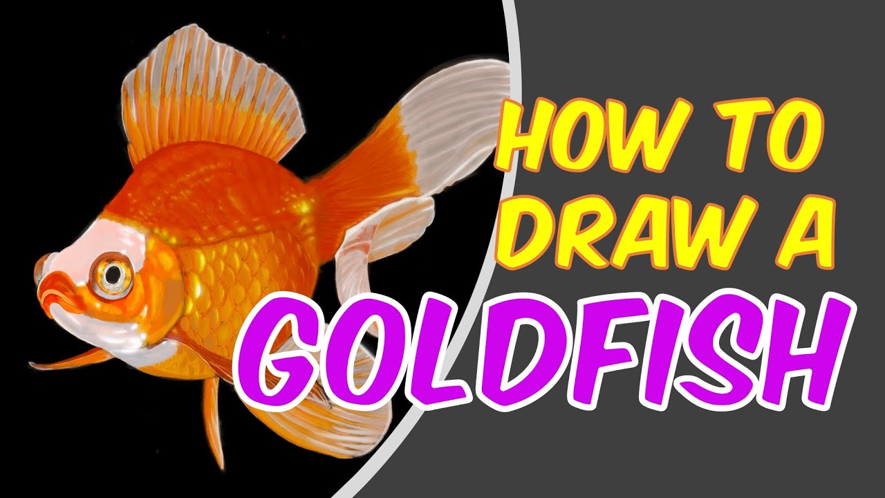 How to Draw a Goldfish on Procreate DIGITAL Drawing/Painting (Time ...