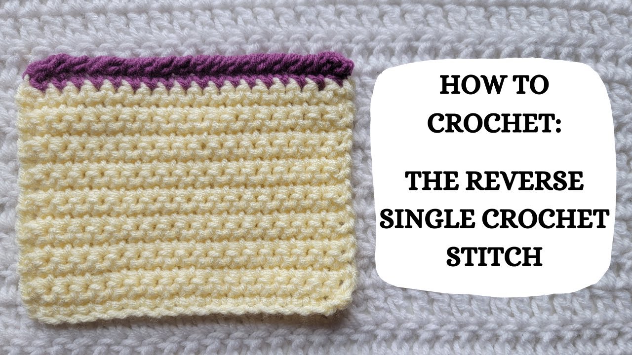 How To Crochet: Reverse Single Crochet Stitch | Tutorial, DIY,Beginner ...