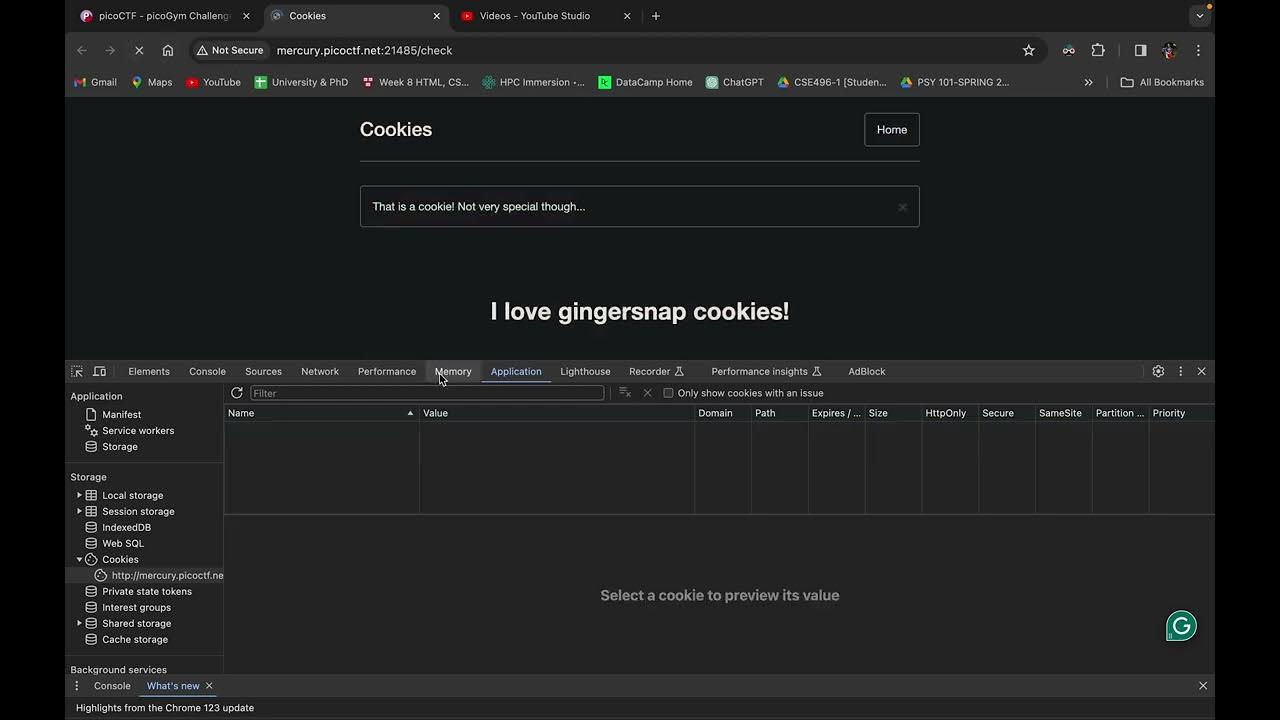 Cookies | picoCTF - YouTube