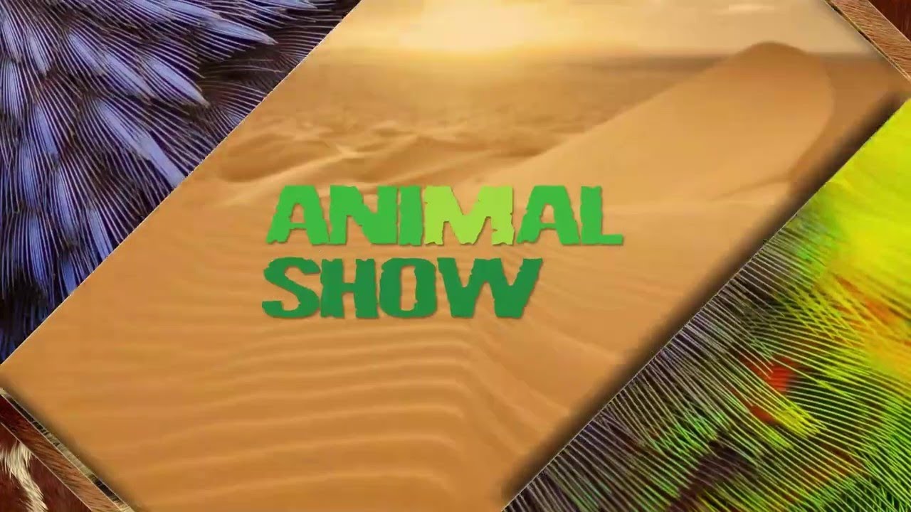 Highlight ช่อง 56 Animal Show เดือนธันวาคม ที่ Good TV - YouTube